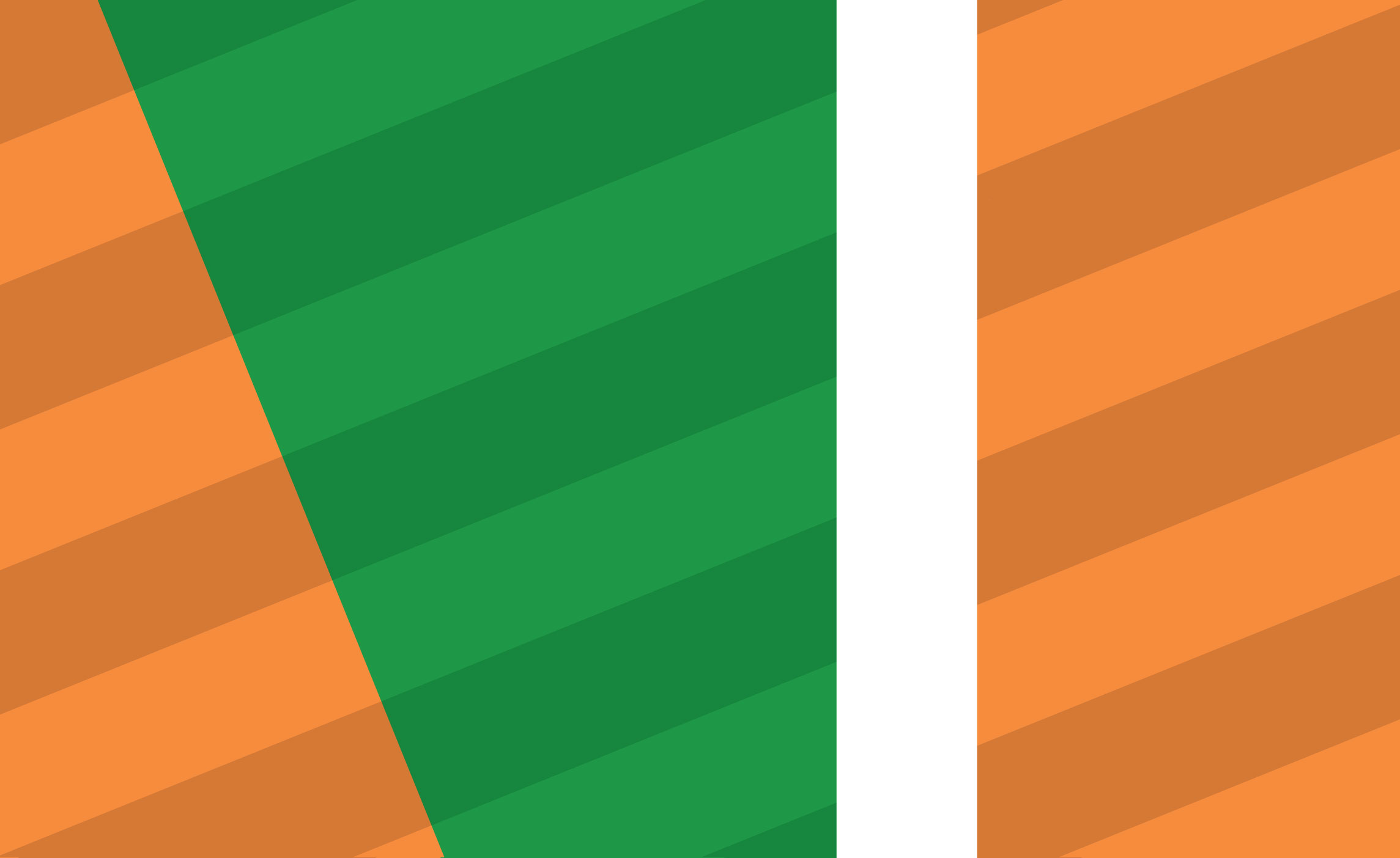 Bald Irishman | Center of the Universe Brewing Company